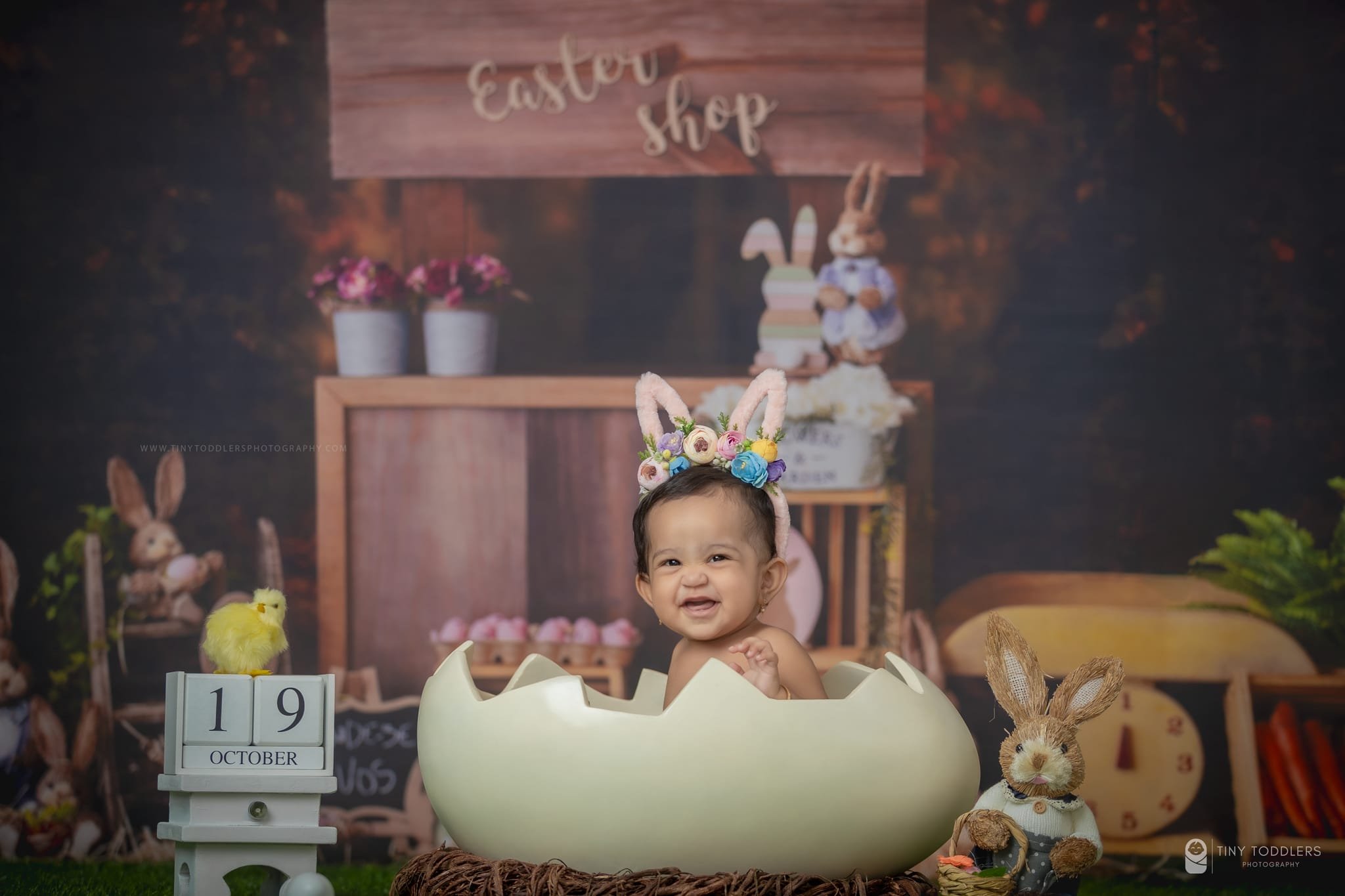 Aira Pre-Birthday Photo Shoot in Hyderabad - Tiny Toddlers Photography